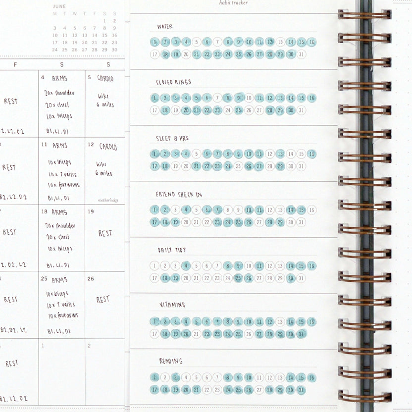 Horizontal Weekly Planner for ADHD | Stay Focused & Organized | laurel ...
