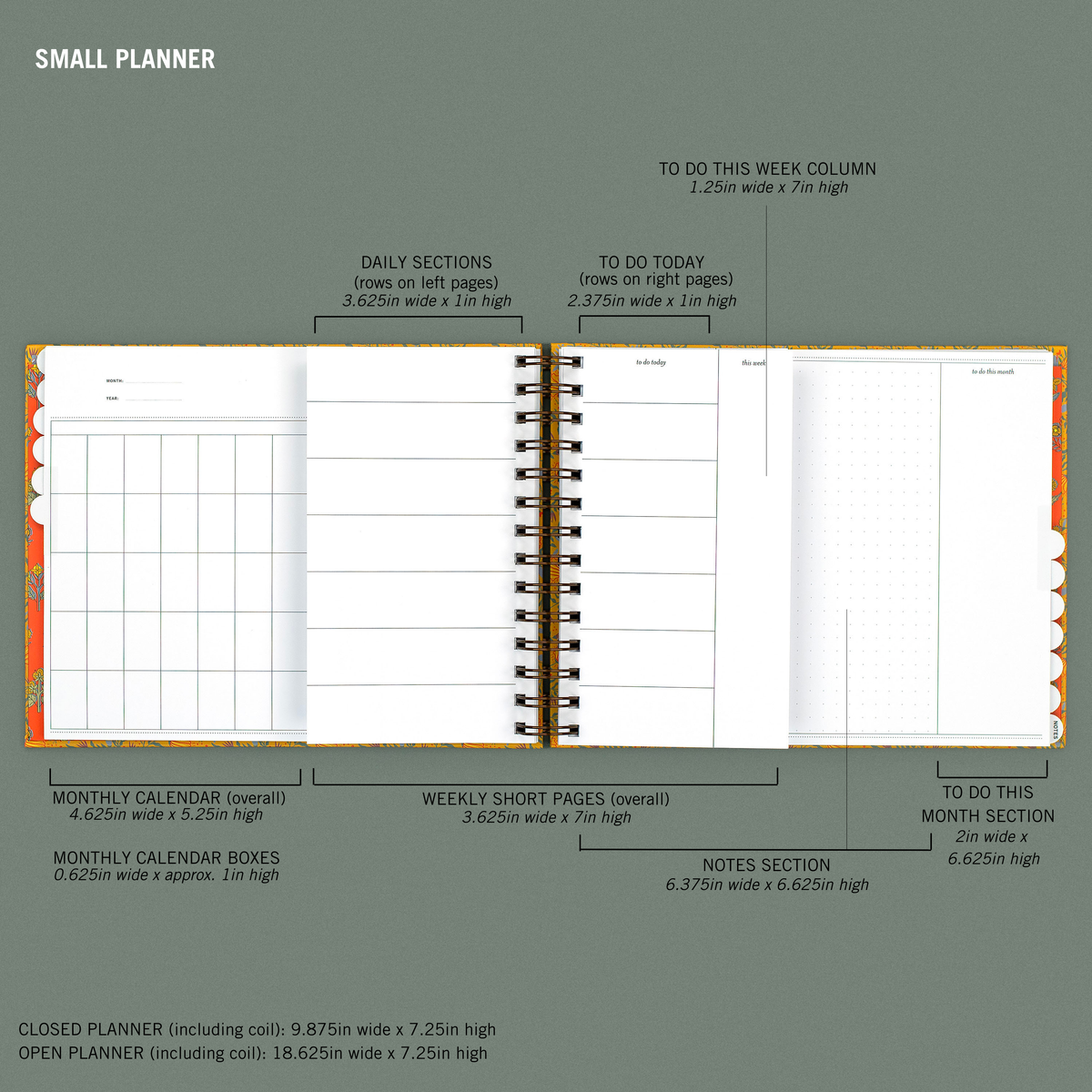 Laurel Denise Undated The Nancy Horizontal Week + Month Planner ...
